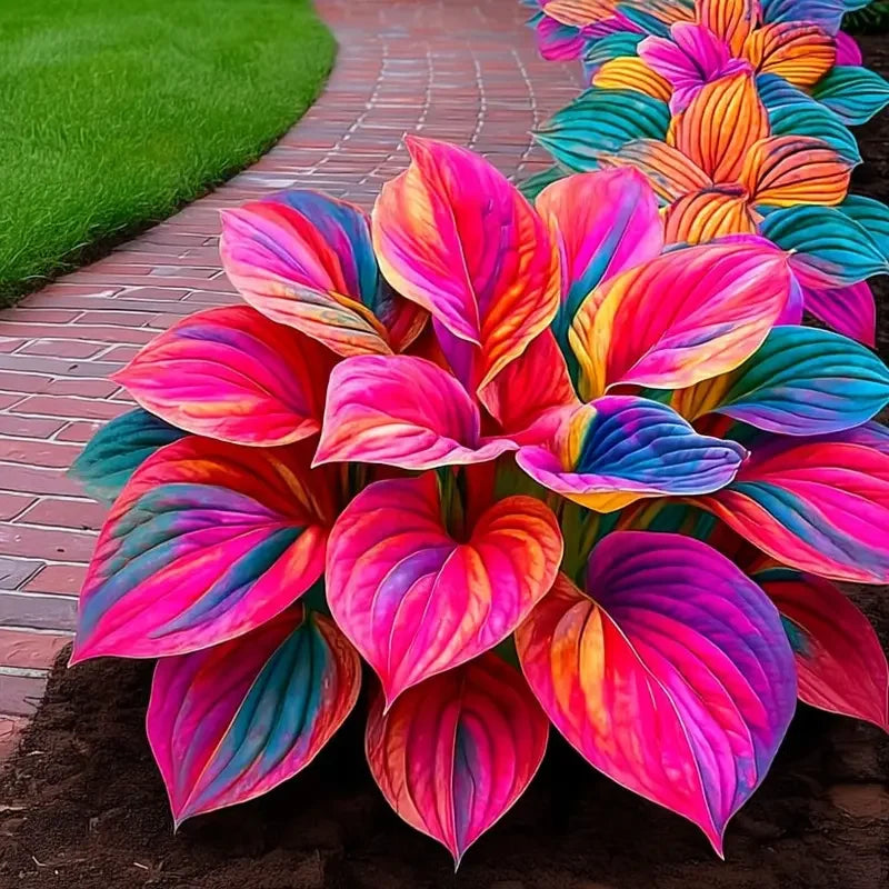 Spring & Winter Growing🔥2026 Garden Must-Have🌾Coleus Seeds&Hosta seeds ...